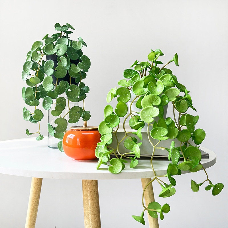 Artificial Green Plant Soft Rubber Feeling Copperwort Herb Leaves, Fake ...