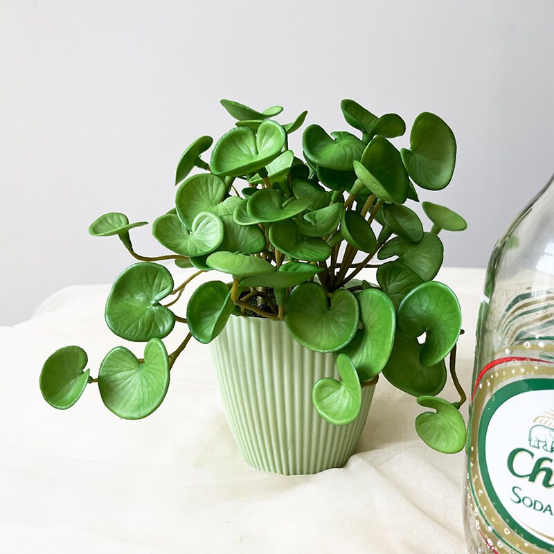 Artificial Green Plant Soft Rubber Feeling Copperwort Herb Leaves, Fake ...