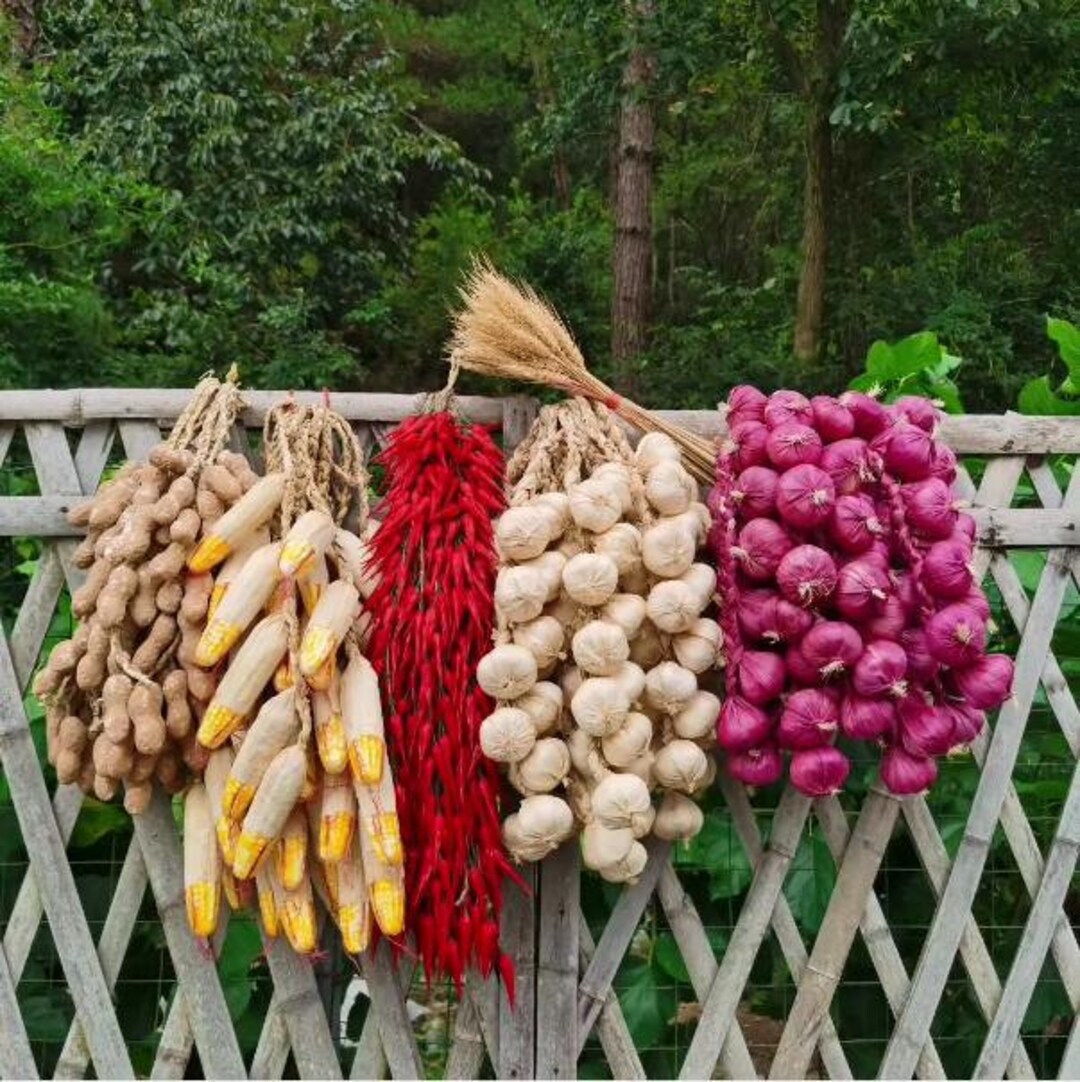 Artificial Vegetable String Fruit String, Corn, Pepper, Garlic, Wall ...