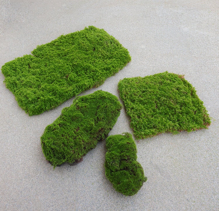 Artificial Moss Skin Moss Block Moss Flocking - Etsy UK