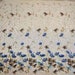 1 Yard Gauze Luxurious Blue Flower Embroidered Lace Fabric for Dress ...