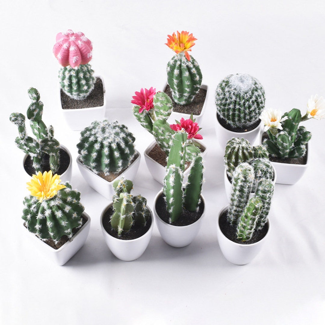 Artificial Cactus Plants, Simulated Succulent, Fake Cactus Potting ...