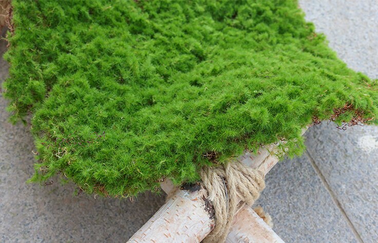 Artificial Moss Skin Moss Block Moss Flocking - Etsy UK