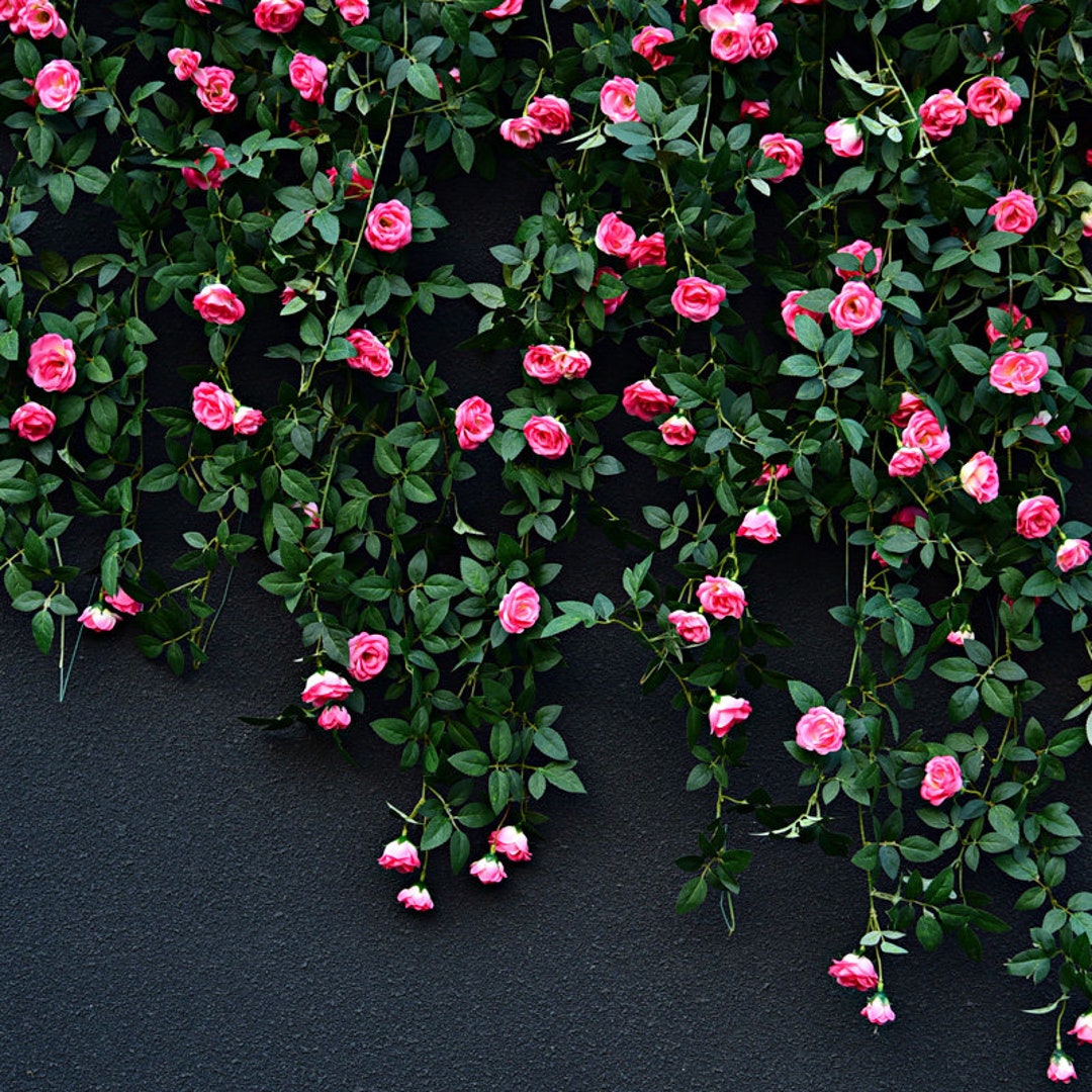 3 Colors Artificial Rose Hanging Decoration for Home Wall - Etsy