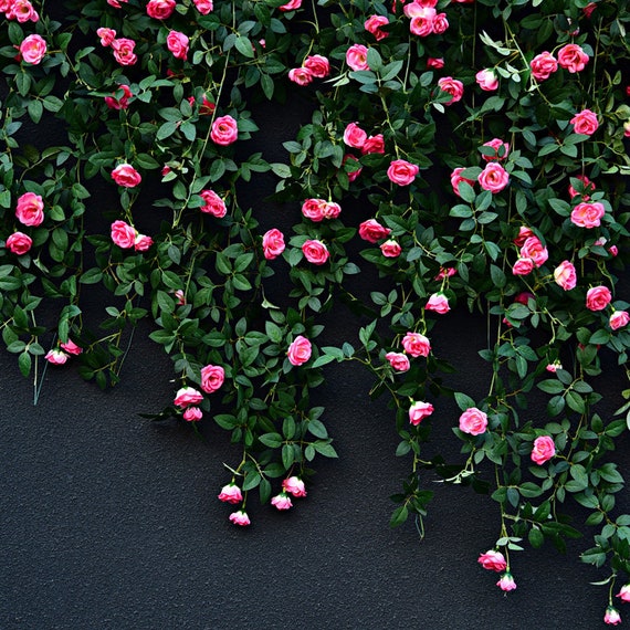 3 Colors Artificial Rose Hanging Decoration for Home Wall - Etsy