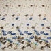 1 Yard Gauze Luxurious Blue Flower Embroidered Lace Fabric for Dress ...