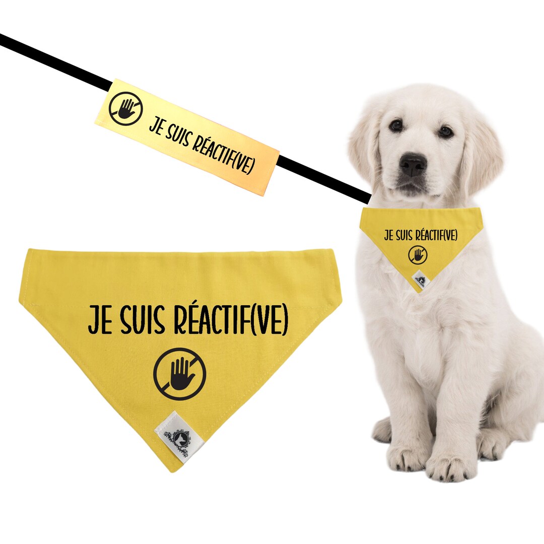 Leash Sleeve and Bandana Kit I Am REACTIVE for Reactive Dog (in French ...