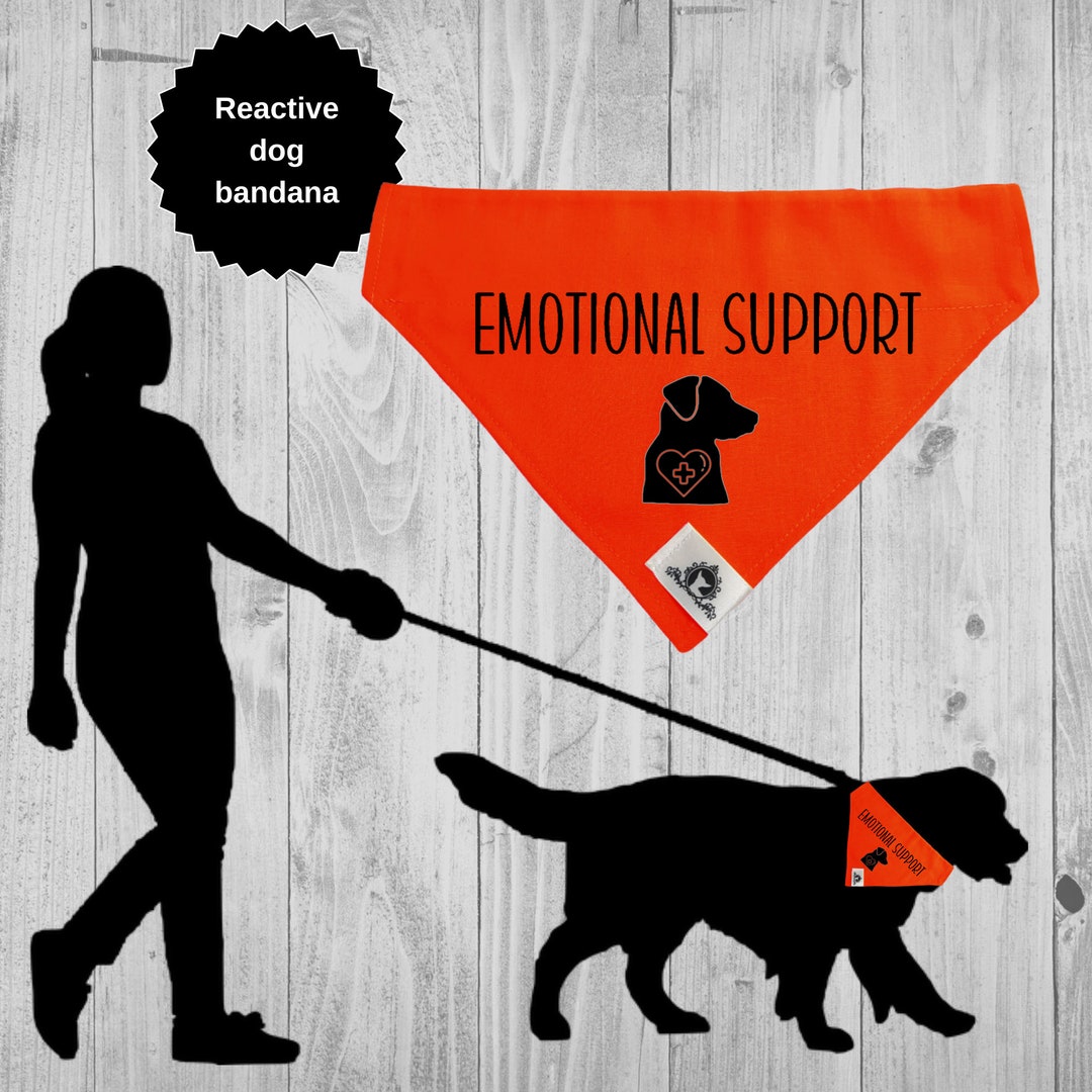 REACTIVE DOG Bandana - Emotional Support - Warning Message - Safety - Etsy
