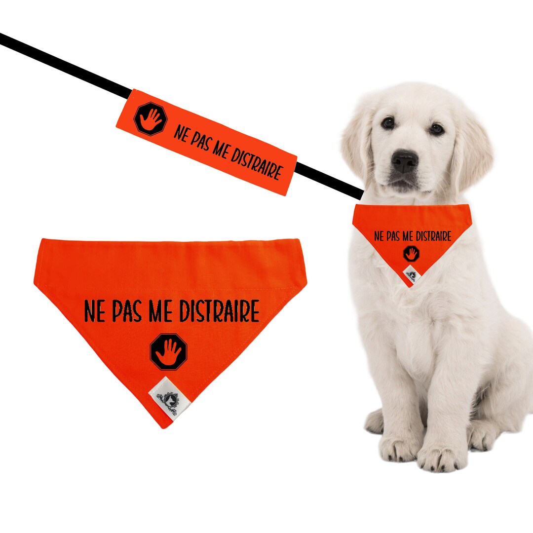 Do NOT DISTRACT ME Leash Sleeve and Bandana Kit for Reactive Dog in ...
