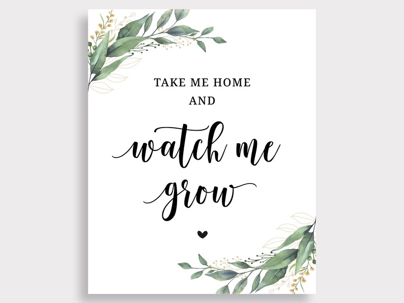 Take Me Home, Watch Me Grow, Succulent Sign, Succulent and Watch It ...