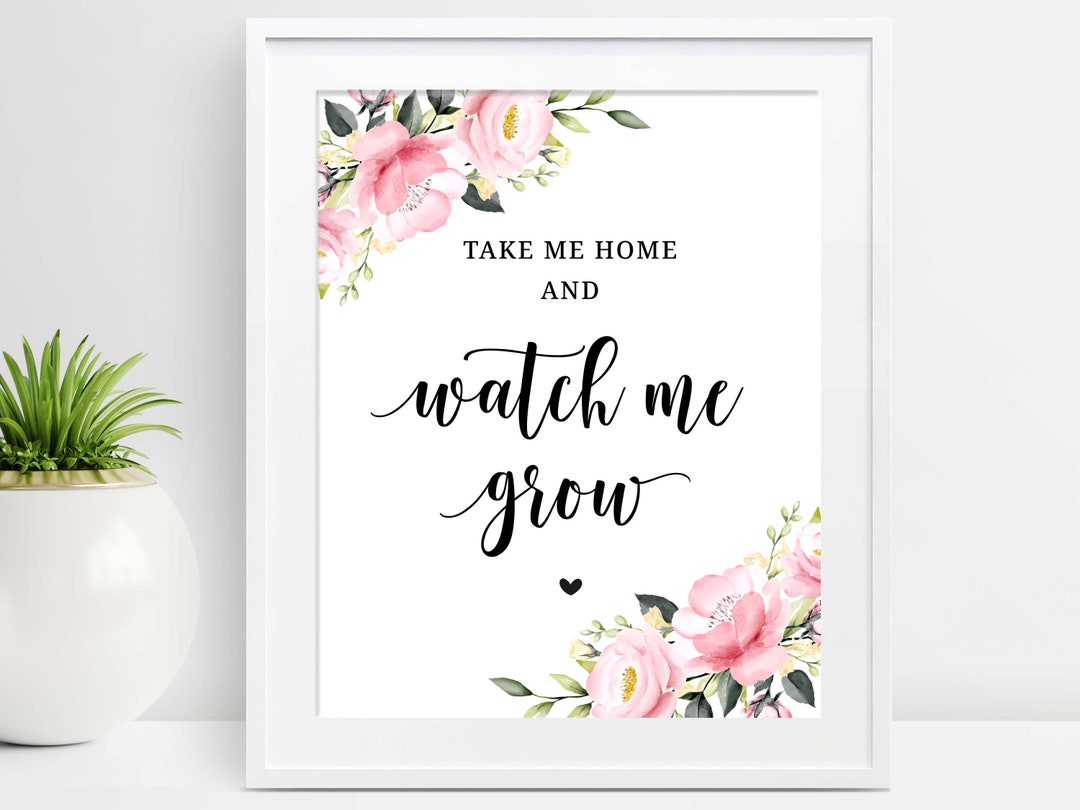 Take Me Home Watch Me Grow Sign, Succulent Sign, Succulent Watch It ...