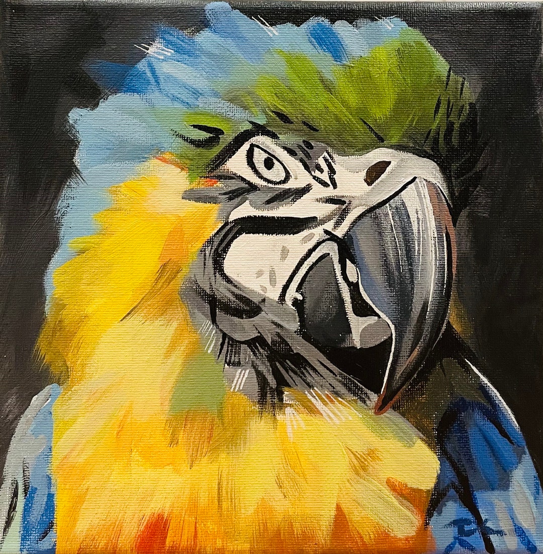 Macaw Painting - Etsy