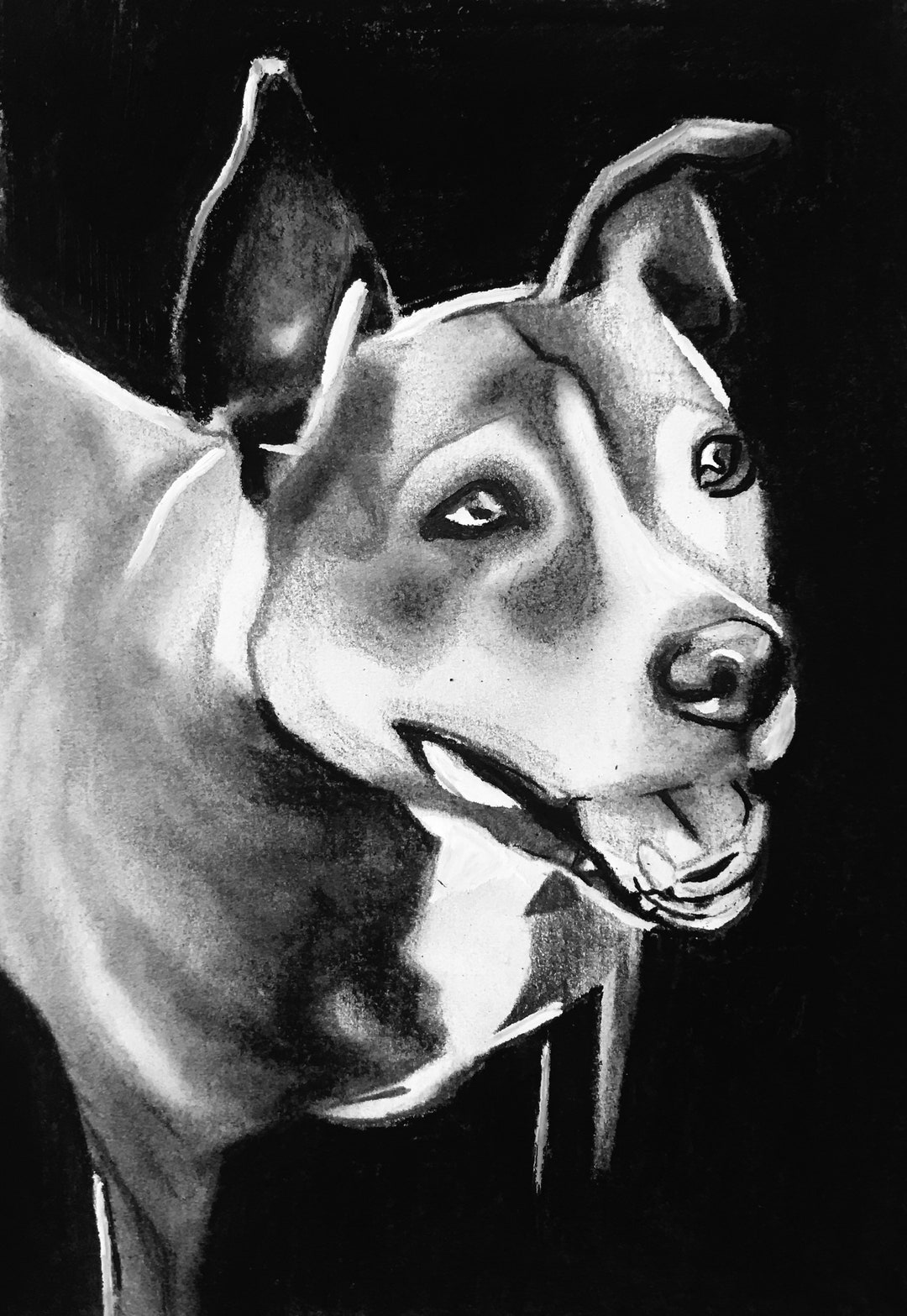 Charcoal Drawing of Dog - Etsy