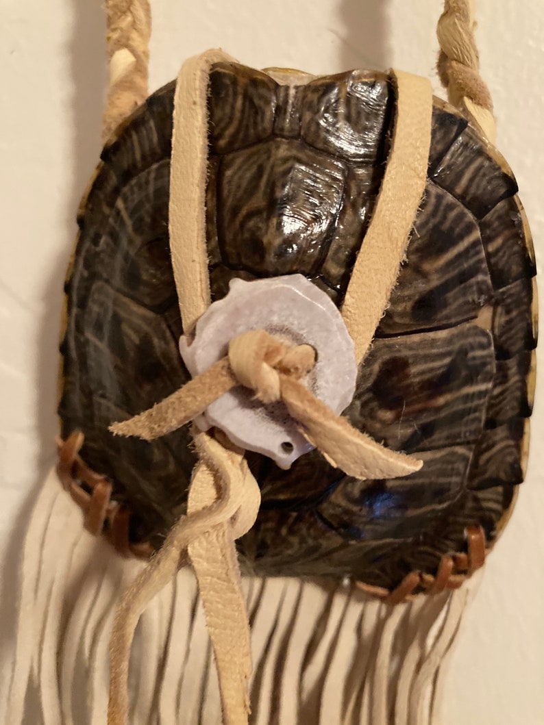 Turtle Shell Pouch - Etsy
