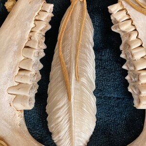 Jawbone Wall Hanging Art - Etsy