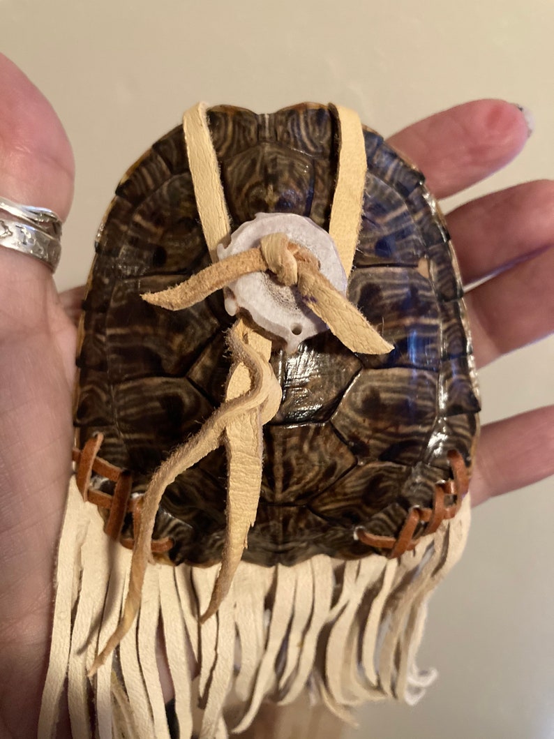 Turtle Shell Pouch - Etsy
