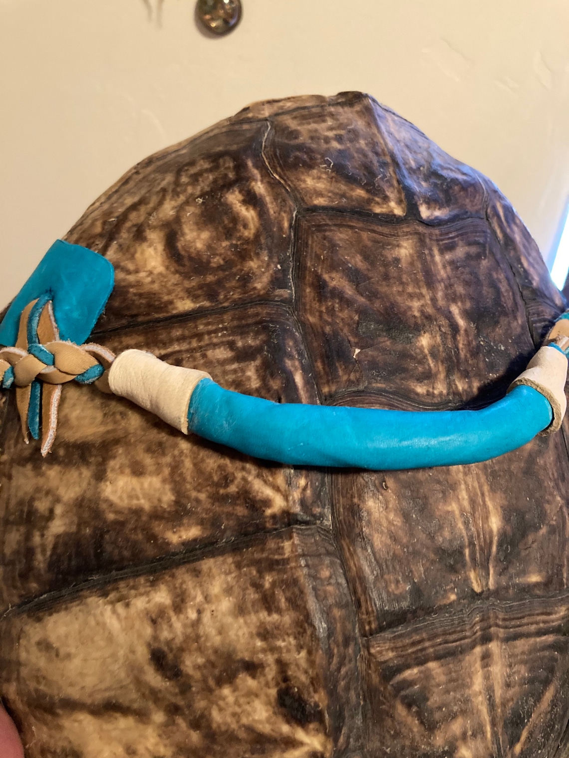 Turtle Shell Bag - Etsy