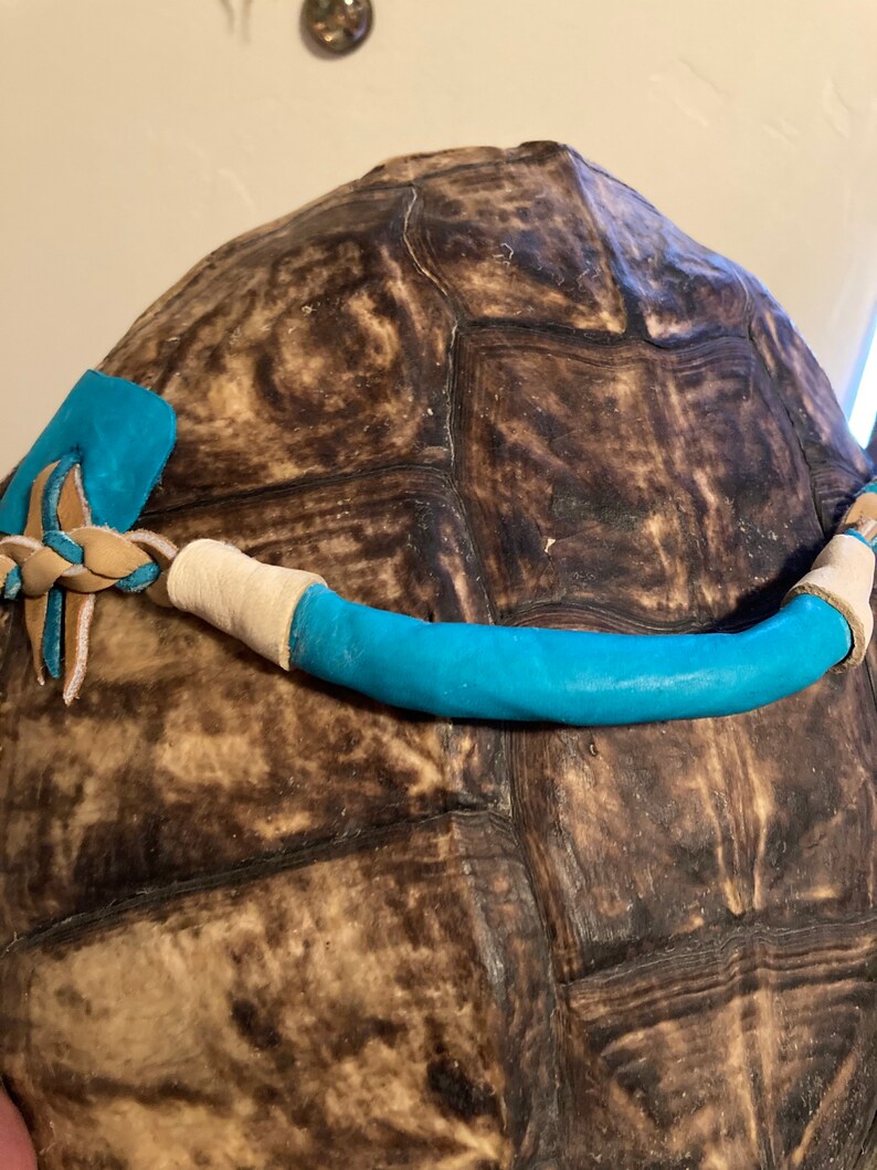 Turtle Shell Bag - Etsy
