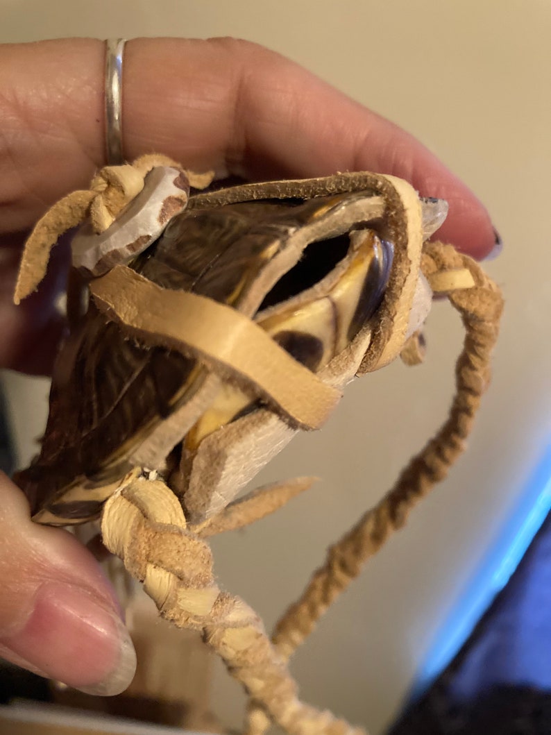Turtle Shell Pouch - Etsy