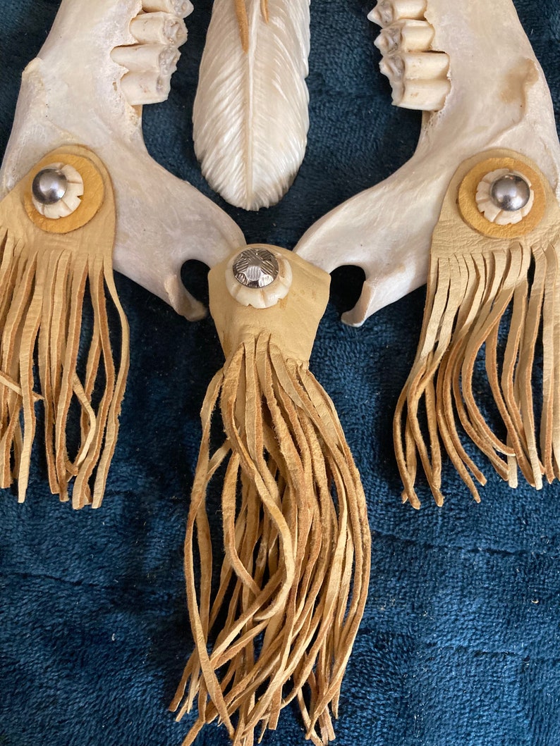 Jawbone Wall Hanging Art - Etsy