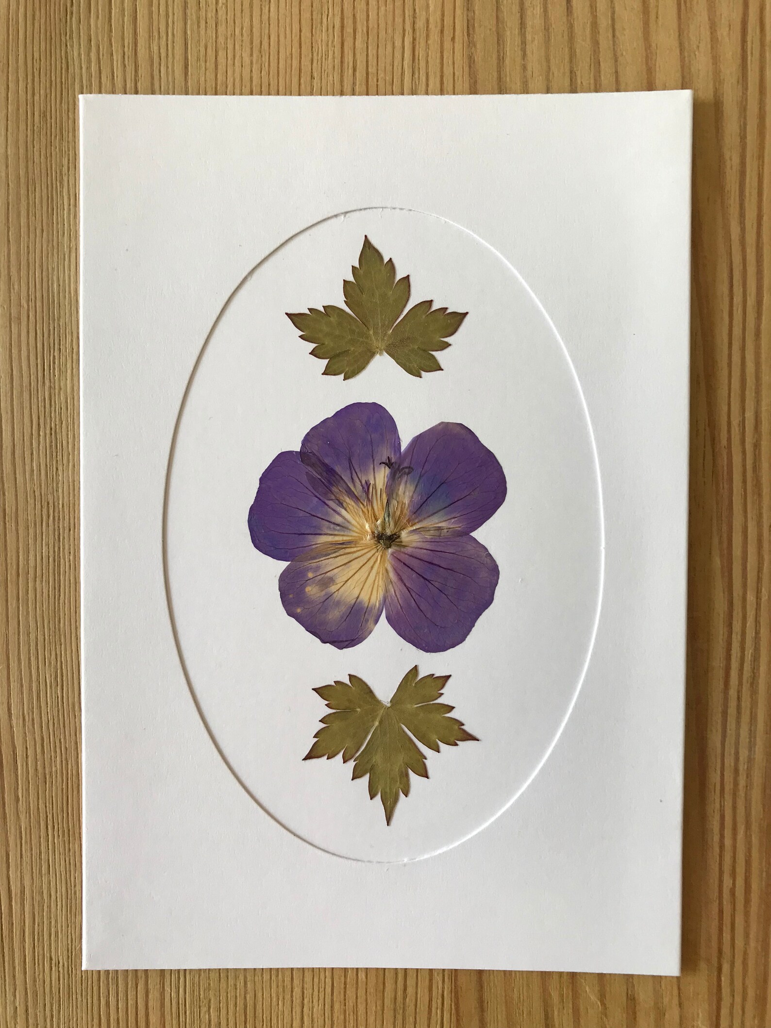 REAL Pressed Flower Cards, Pressed Flower Cards, Botanical Card ...