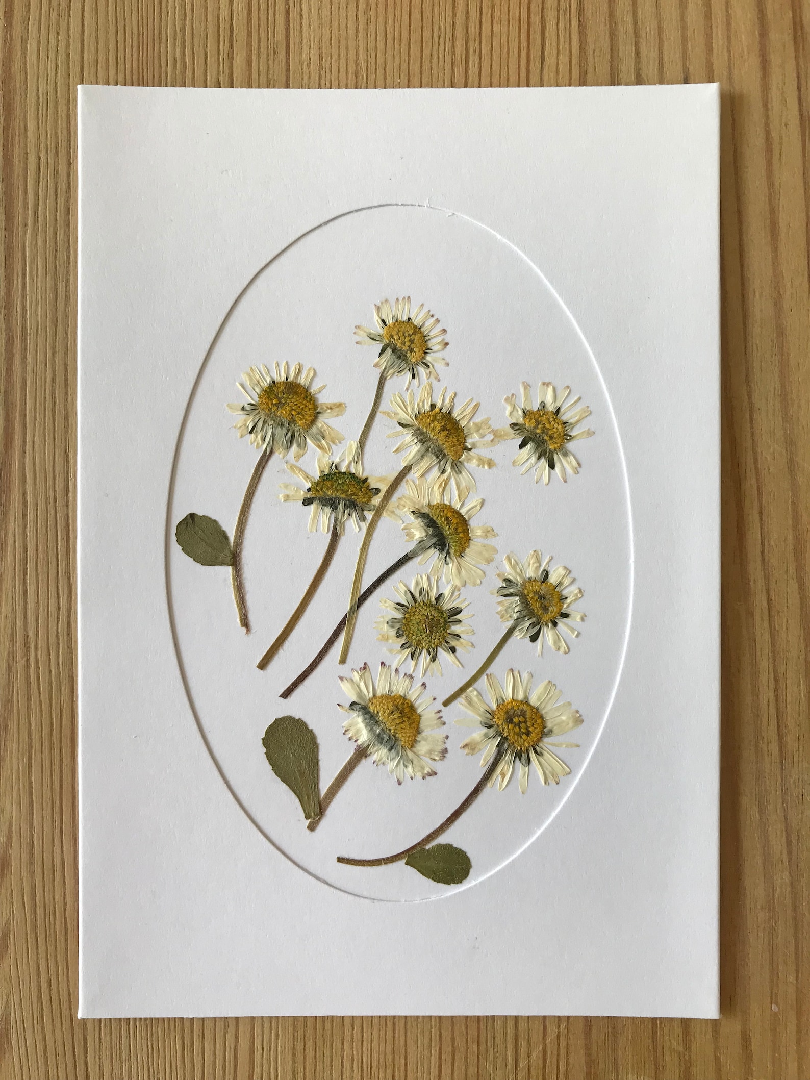 REAL Pressed Flower Cards, Pressed Flower Cards, Botanical Card ...