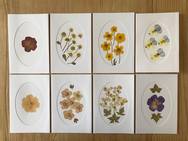 REAL Pressed Flower Cards Pressed Flower Cards Botanical - Etsy
