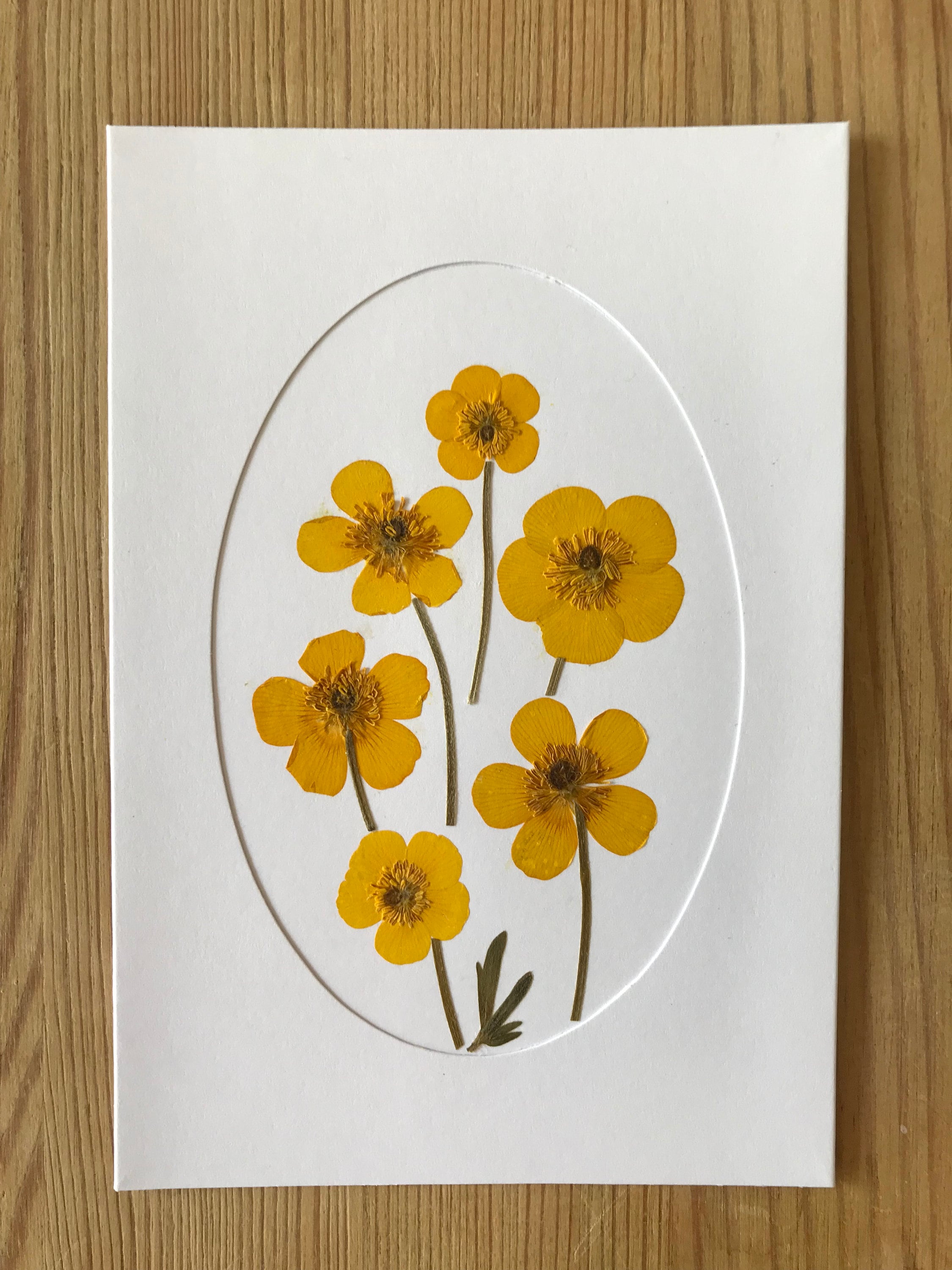 REAL Pressed Flower Cards, Pressed Flower Cards, Botanical Card ...