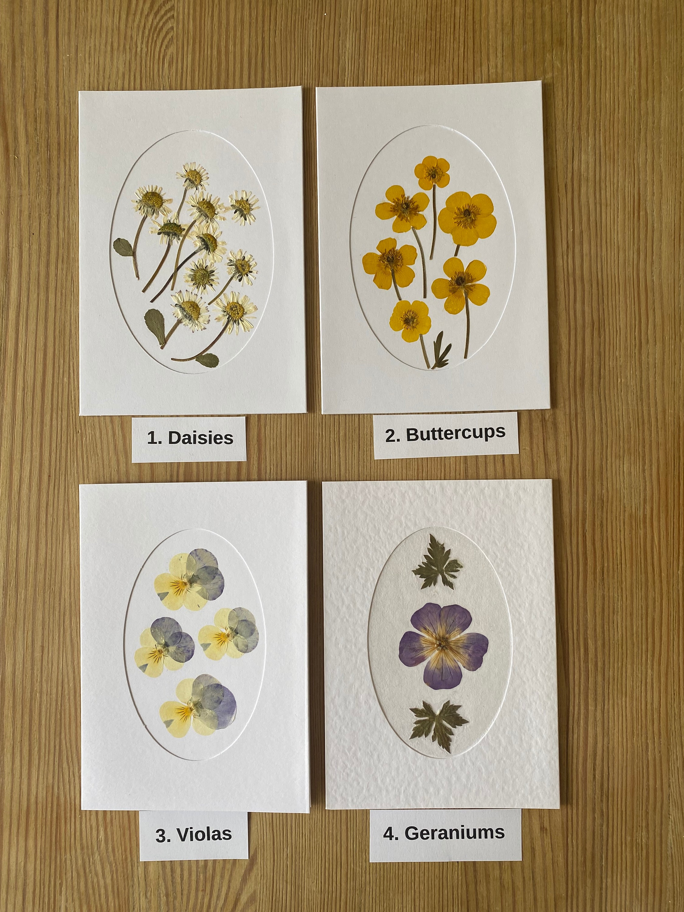 REAL Pressed Flower Cards, Pressed Flower Cards, Botanical Card ...