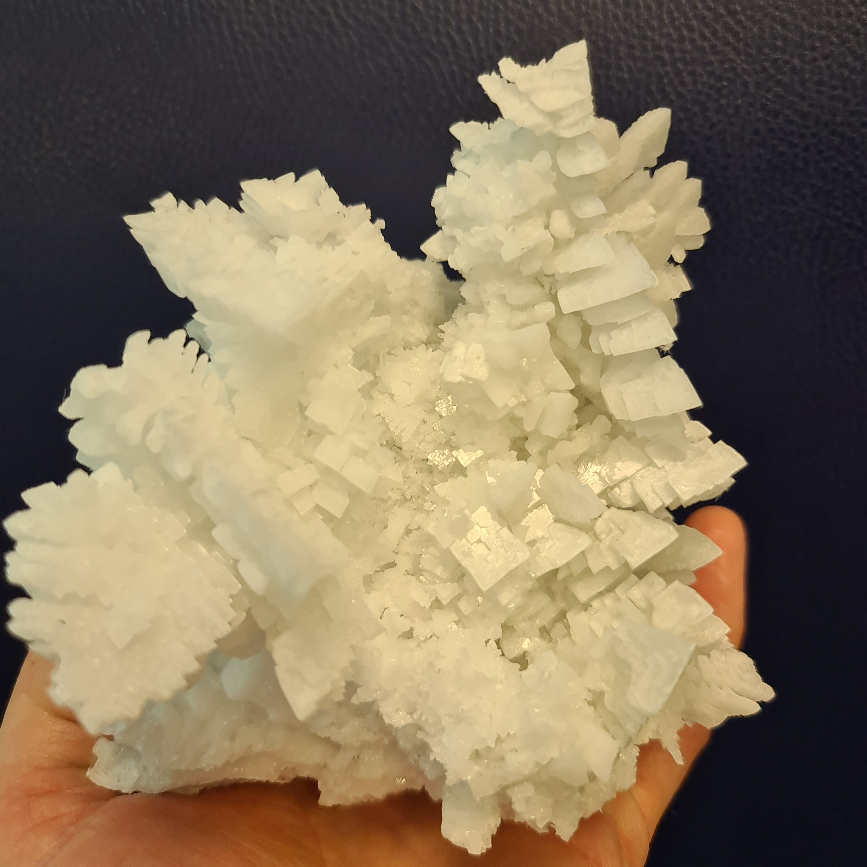 Large White skeletal Salt Halite Lubin Poland | Etsy