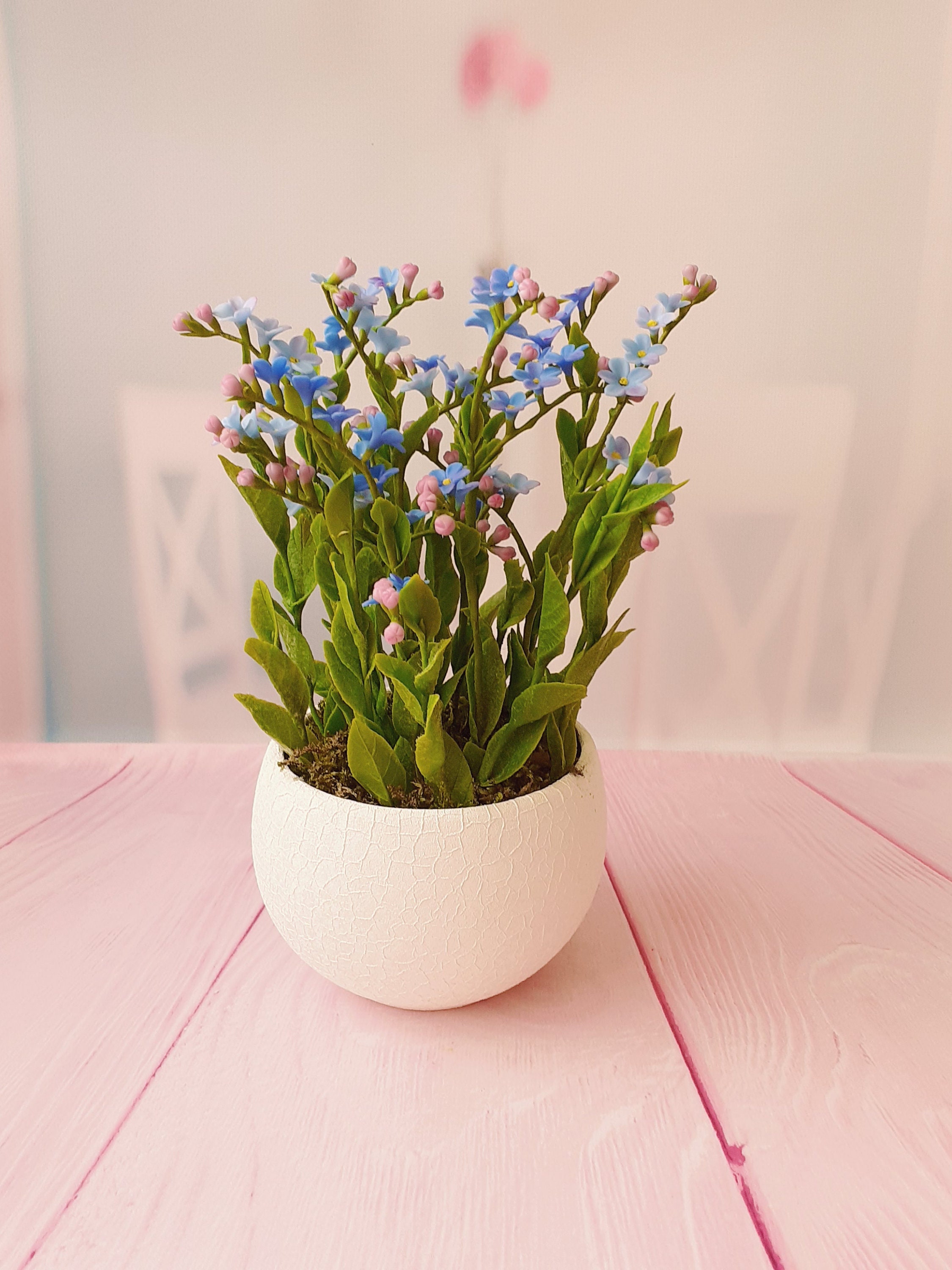 Forget-me-not in the pot-Clay flower-Cold porcelain-Polymer | Etsy