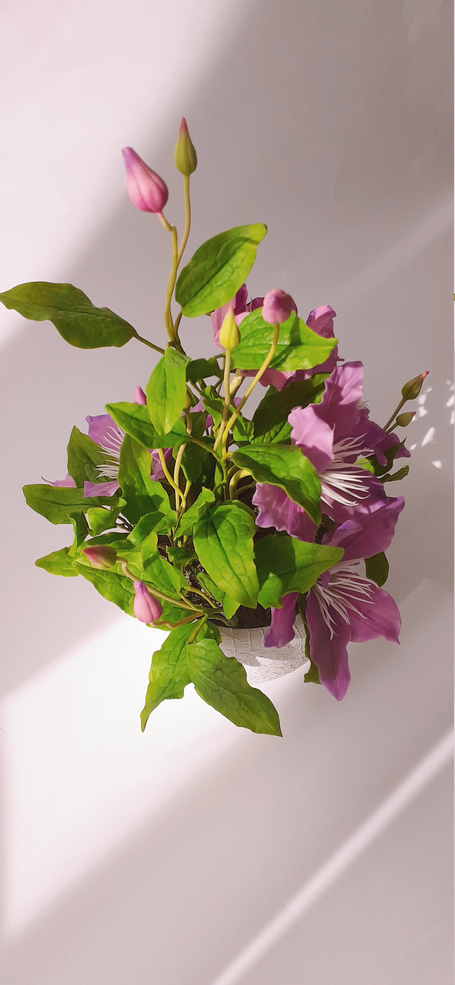 Clematis in the Pot-polymer Clay Flower-cold Porcelain - Etsy