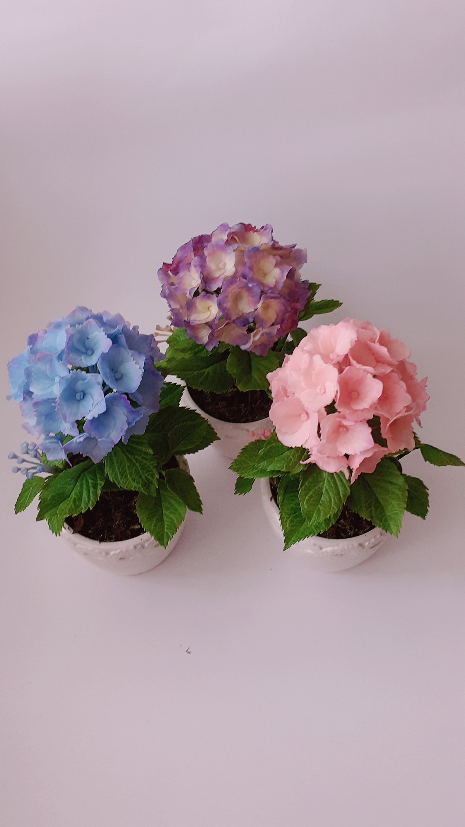 Hydrangea in the Pot-polymer Clay Flower-cold Porcelain | Etsy