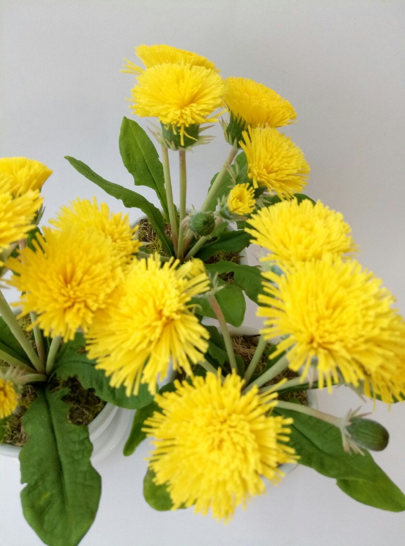Dandelions-polymer Clay Flowers-mothers Day Gift for Women - Etsy