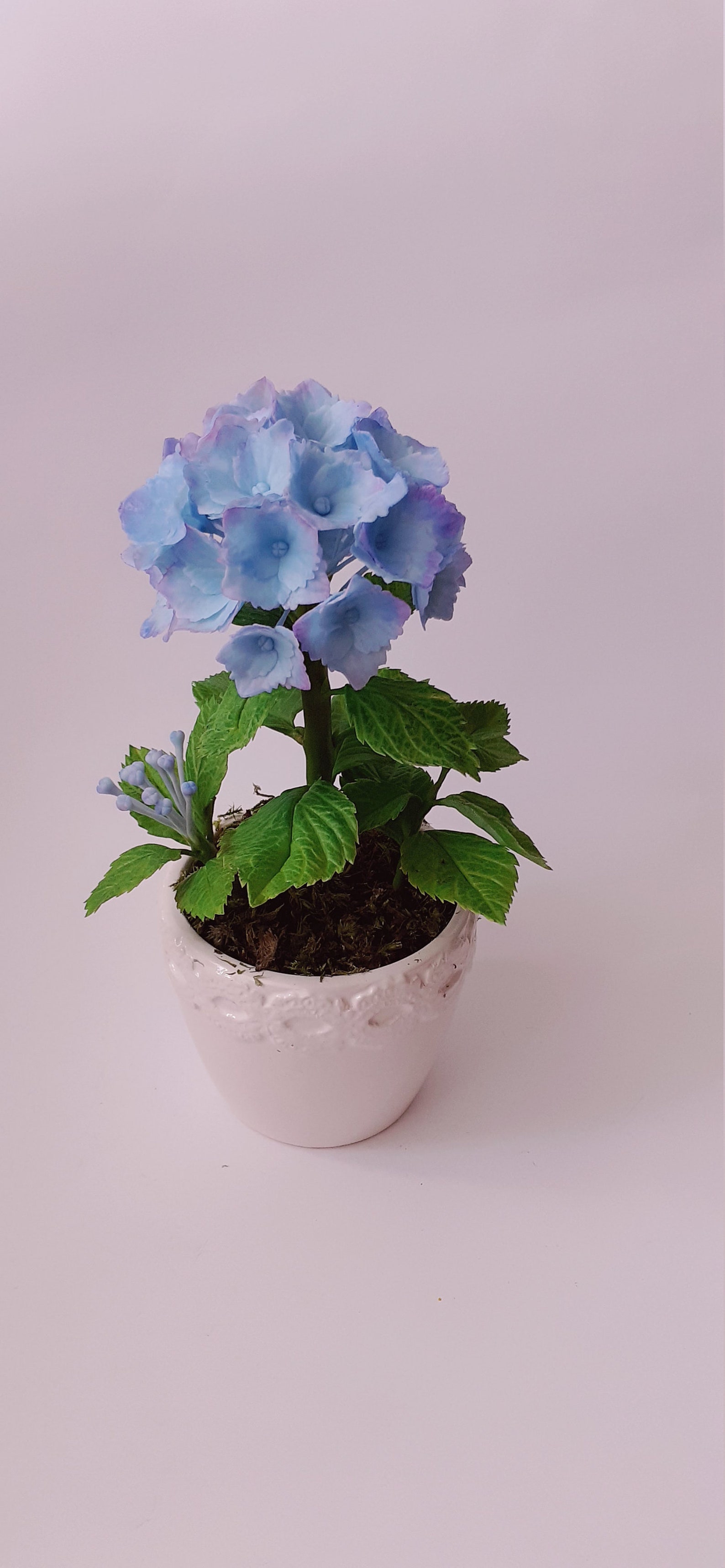 Hydrangea in the Pot-polymer Clay Flower-cold Porcelain Flower-flower ...