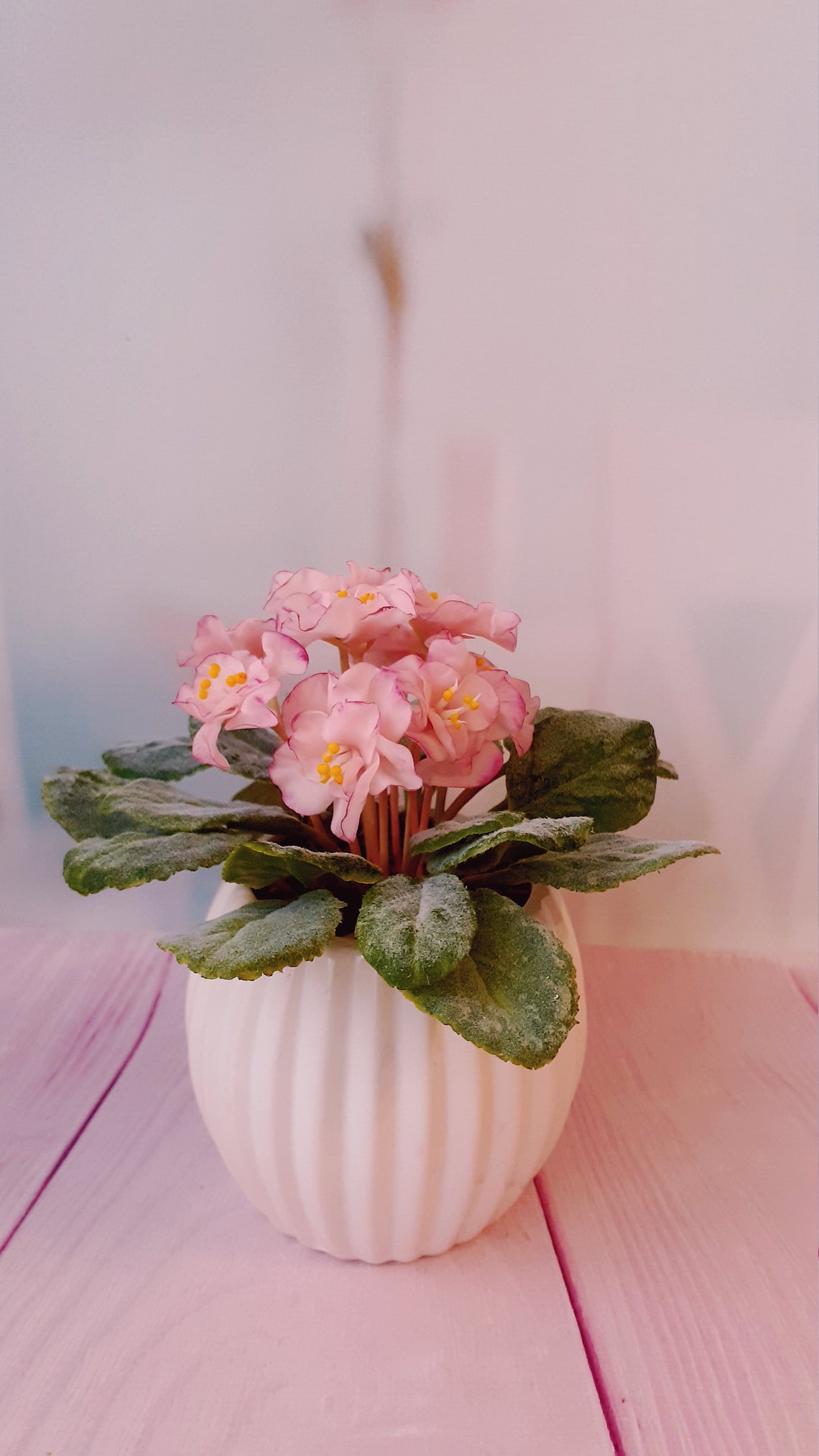 Violet in the Pot-polymer Clay Flower-cold Porcelain | Etsy