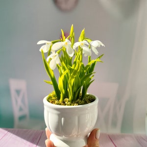 Snowdrops сold Porcelain Spring Flower,polymer Clay Flower,table Decor ...