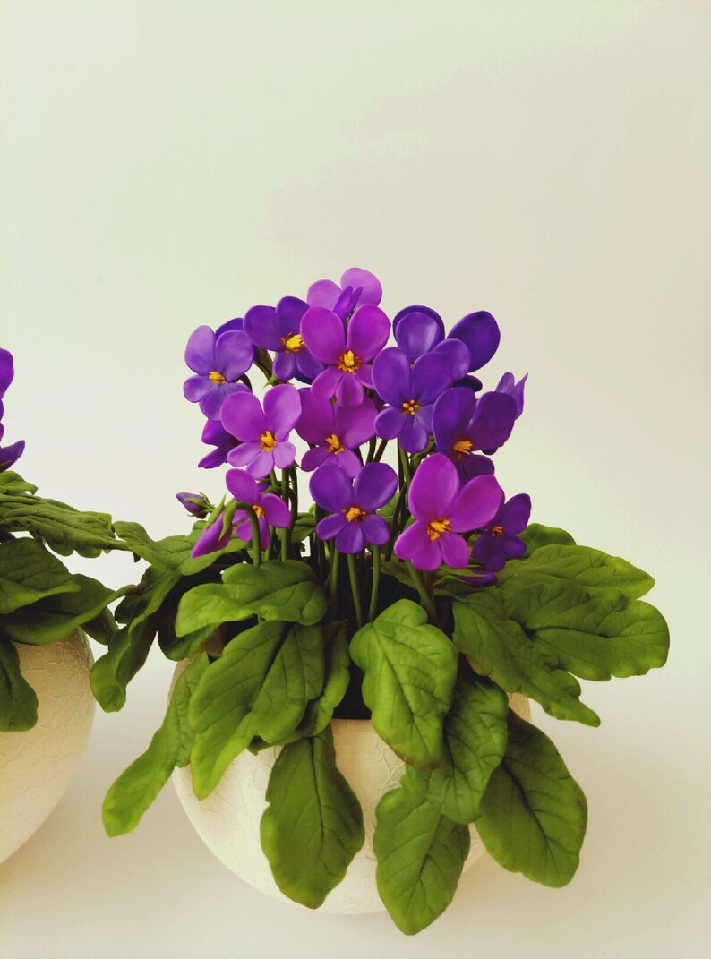 Wild Violet in the Pot-polymer Clay Flower-cold Porcelain Flower-flower ...