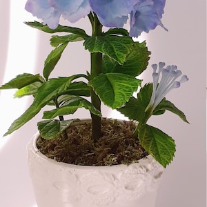 Hydrangea in the Pot-polymer Clay Flower-cold Porcelain Flower-flower ...