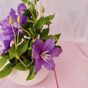 Clematis in the Pot Polymer Clay Flower-cold Porcelain Flower-realistic ...