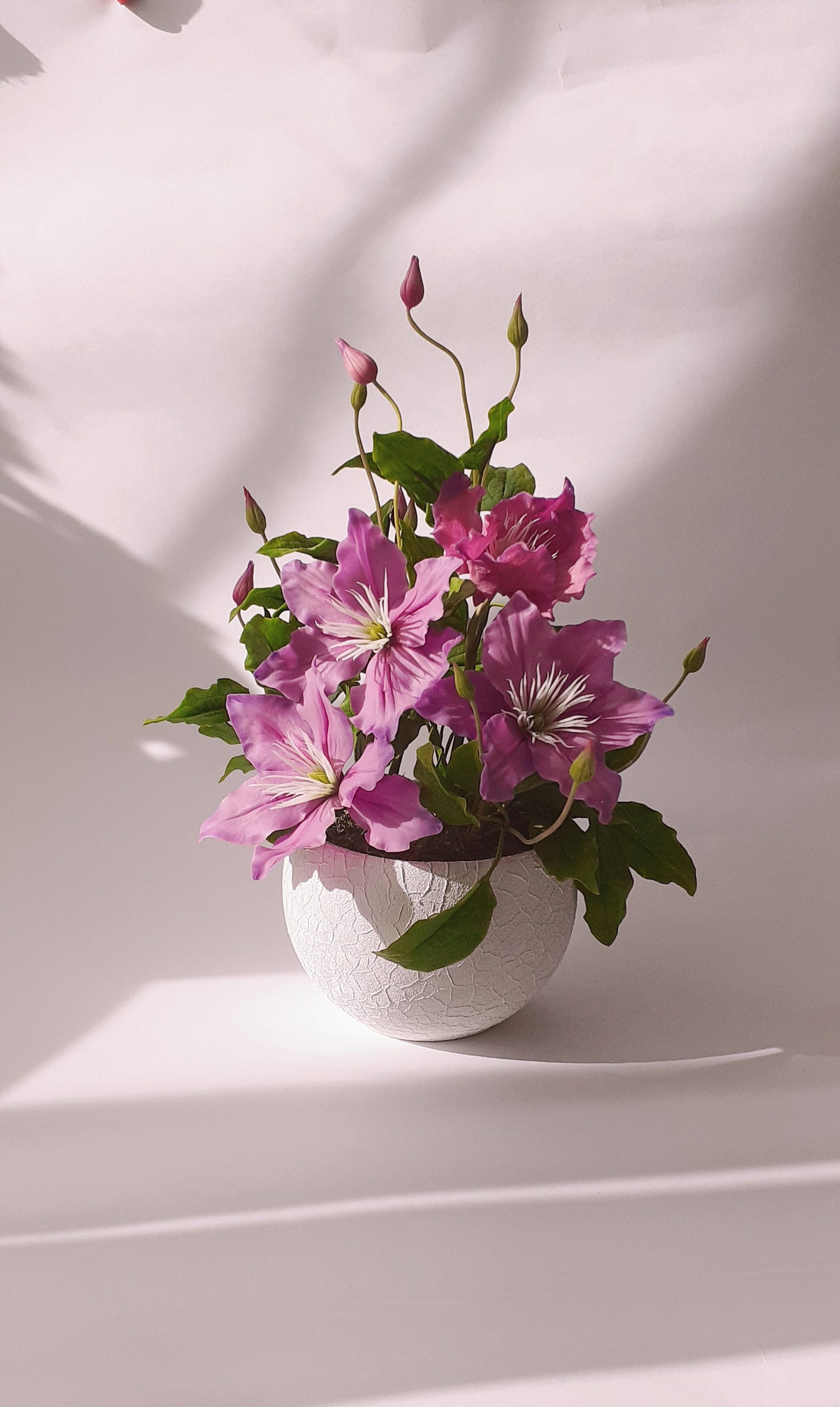 Clematis in the pot-Polymer clay flower-Cold porcelain | Etsy