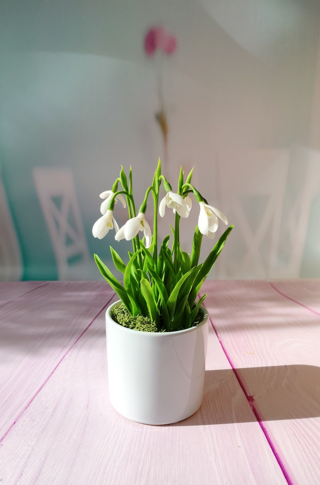Snowdrops Cold Porcelain-spring Flowers in Pot-blue Flower-polymer Clay ...