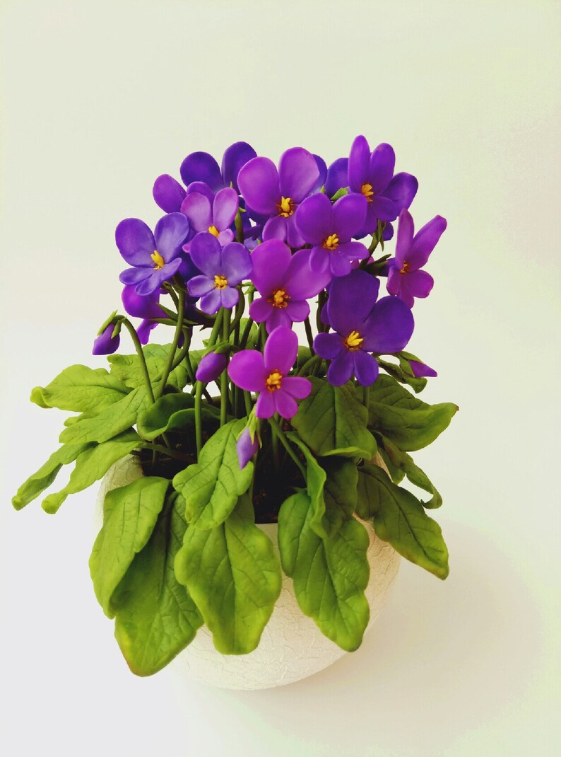 Wild Violet in the Pot-polymer Clay Flower-cold Porcelain | Etsy