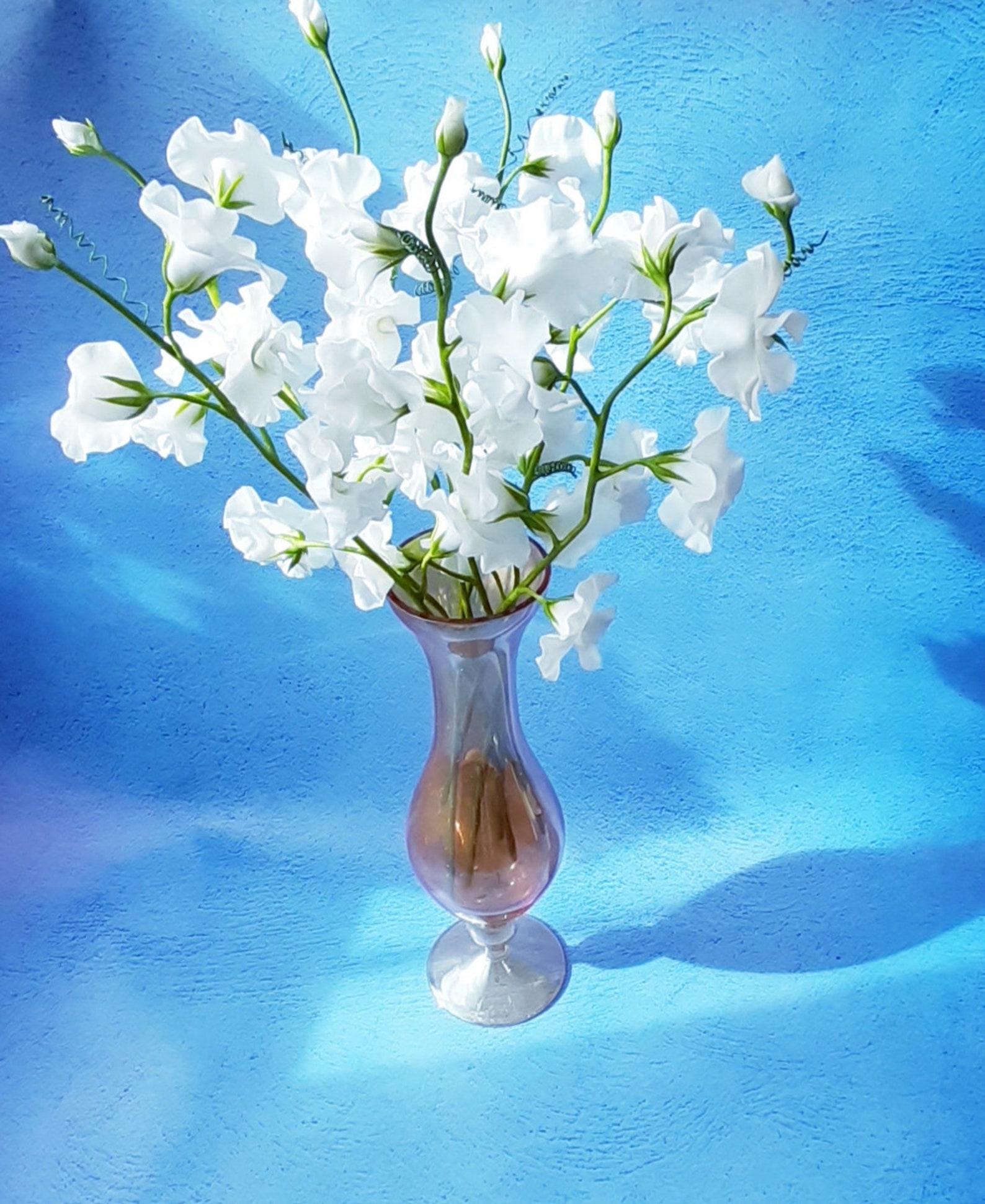 Fragrant Peas Set 7 Flowers of Polymer Clay-cold | Etsy