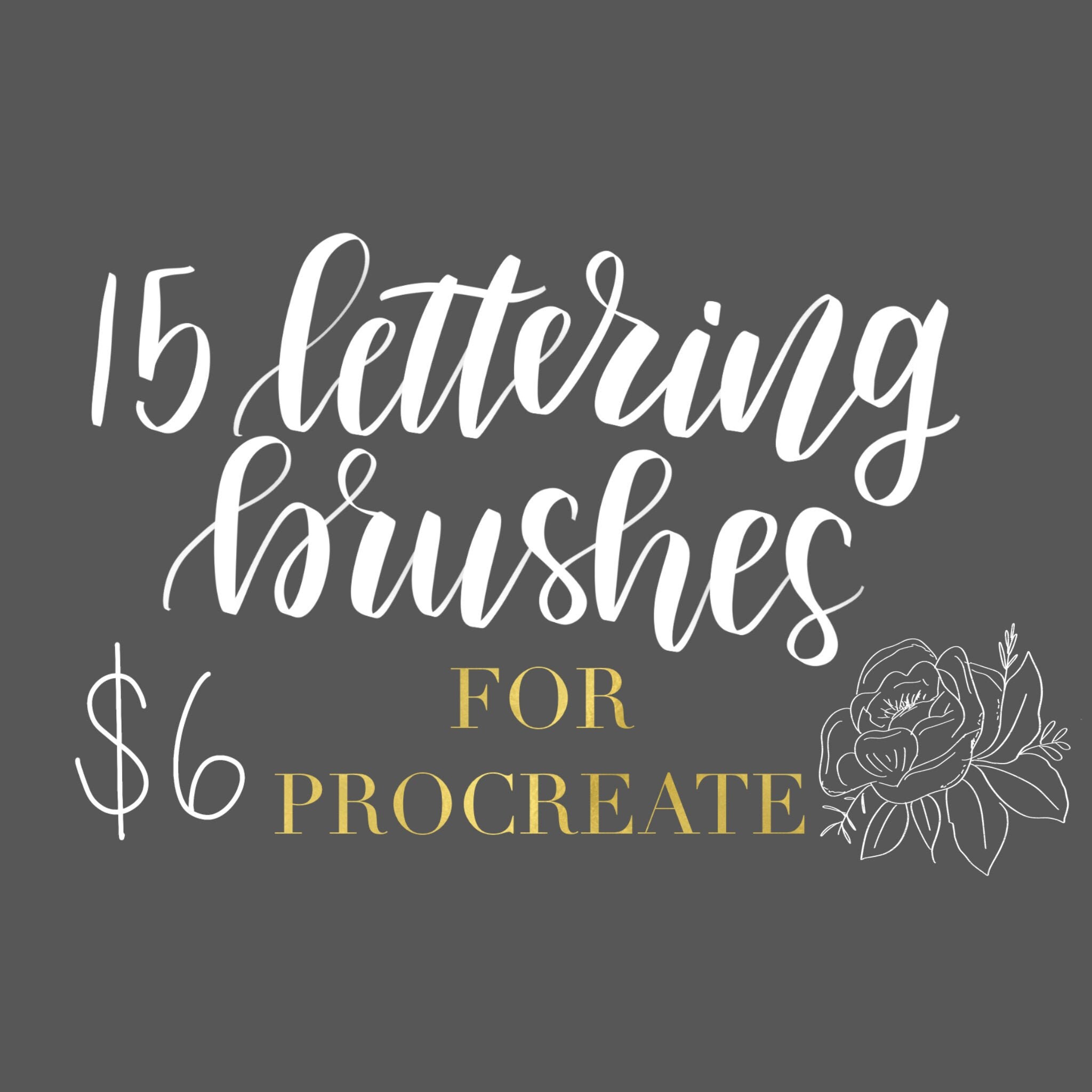 Procreate Lettering Brush Set, 15 Brushes ***plus 2 Bonus Brushes ...