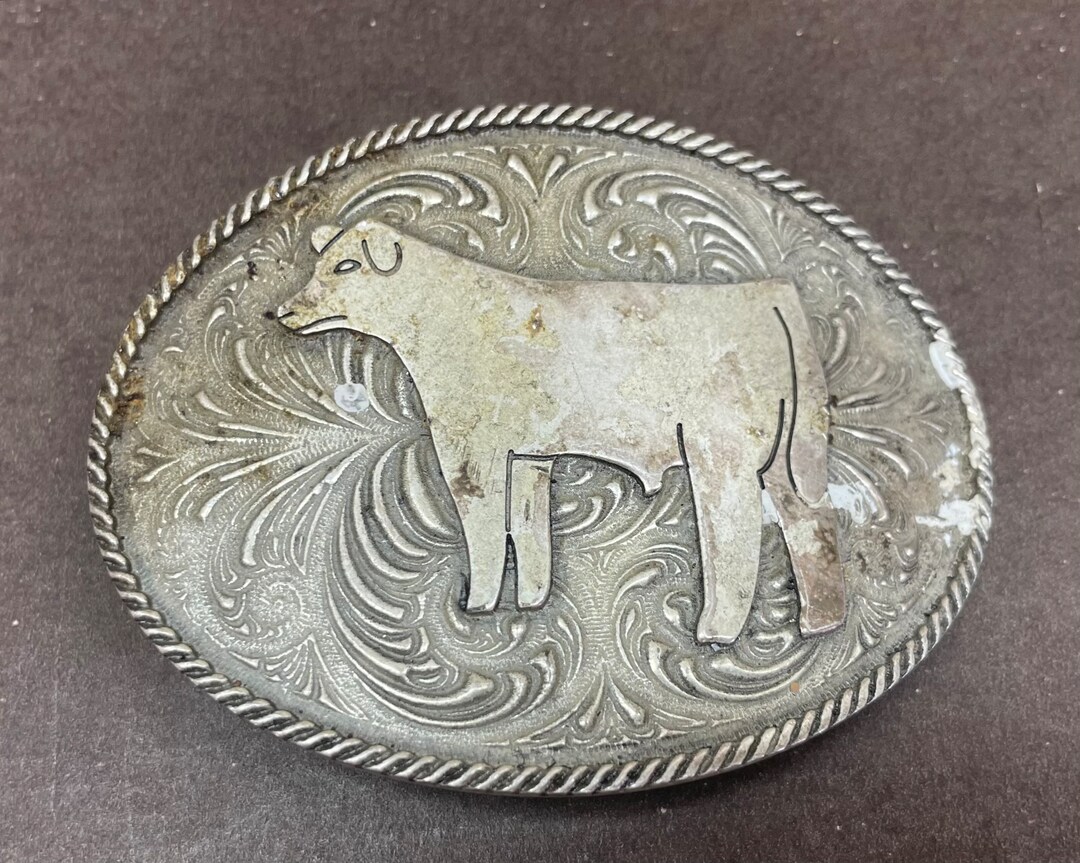 Montana Silver Cow Belt Buckle Oval.4015bb.free Shipping - Etsy