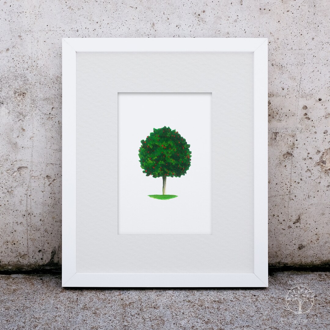Rowan Mini Tree 3x3, 5x5, 4x6 Giclée Art Prints, Tree Art, Symbolizes ...