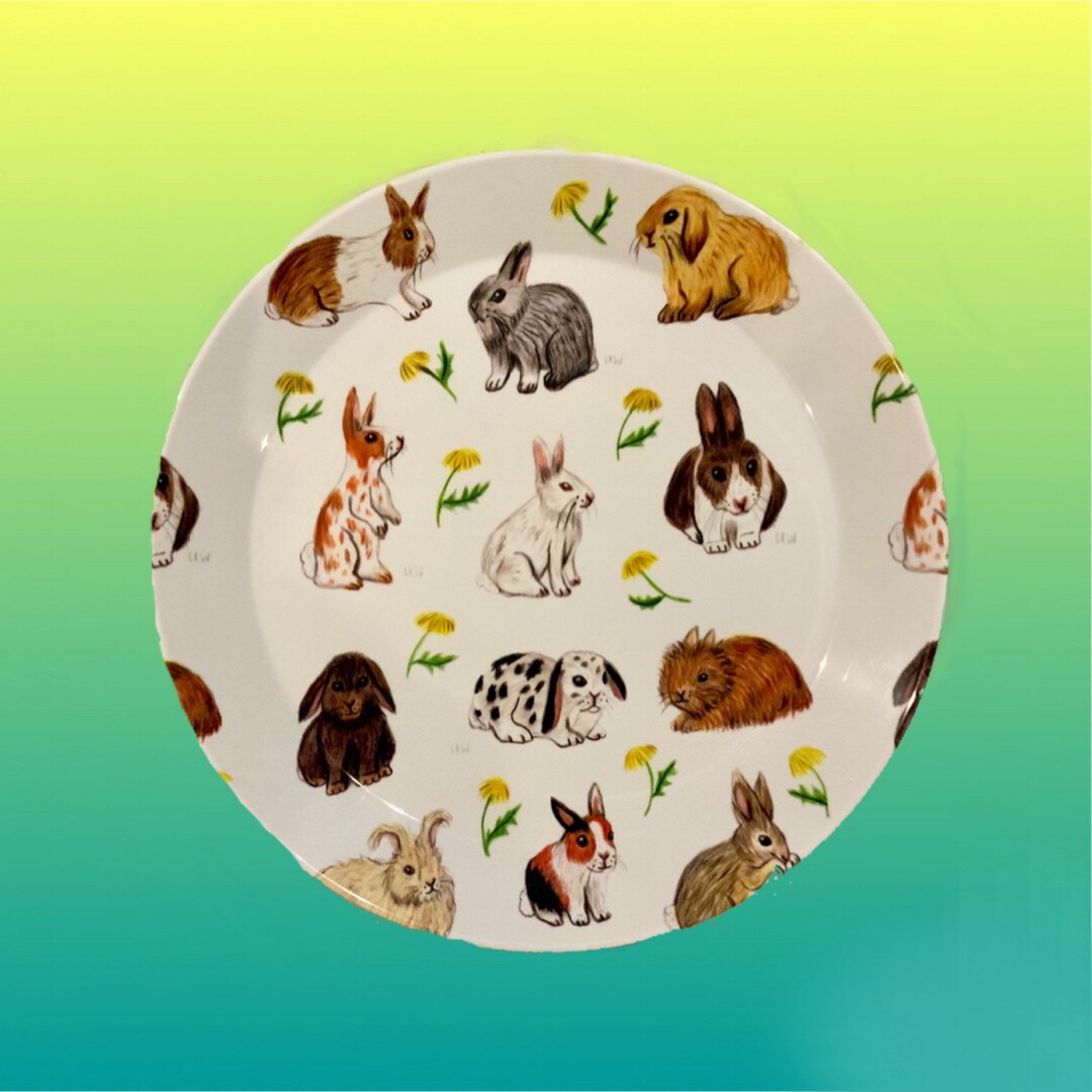 New/ Rabbit/ Plates/ Bunny/ Dinner Plates/ Kitchenware/ Childrens ...