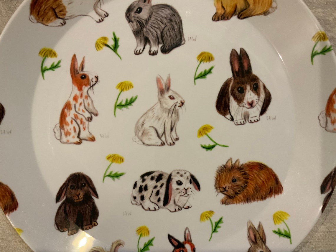 New/ rabbit/ plates/ bunny/ dinner plates/ kitchenware/ | Etsy