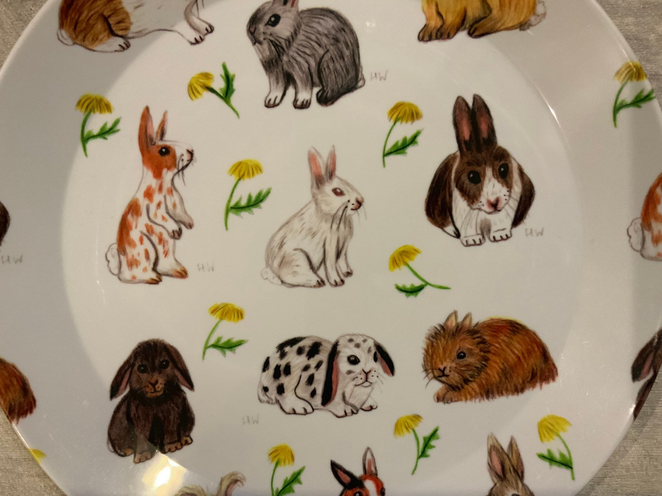 New/ Rabbit/ Plates/ Bunny/ Dinner Plates/ Kitchenware/ | Etsy